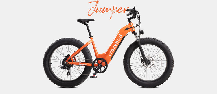 crazybird Jumper E-Bike
