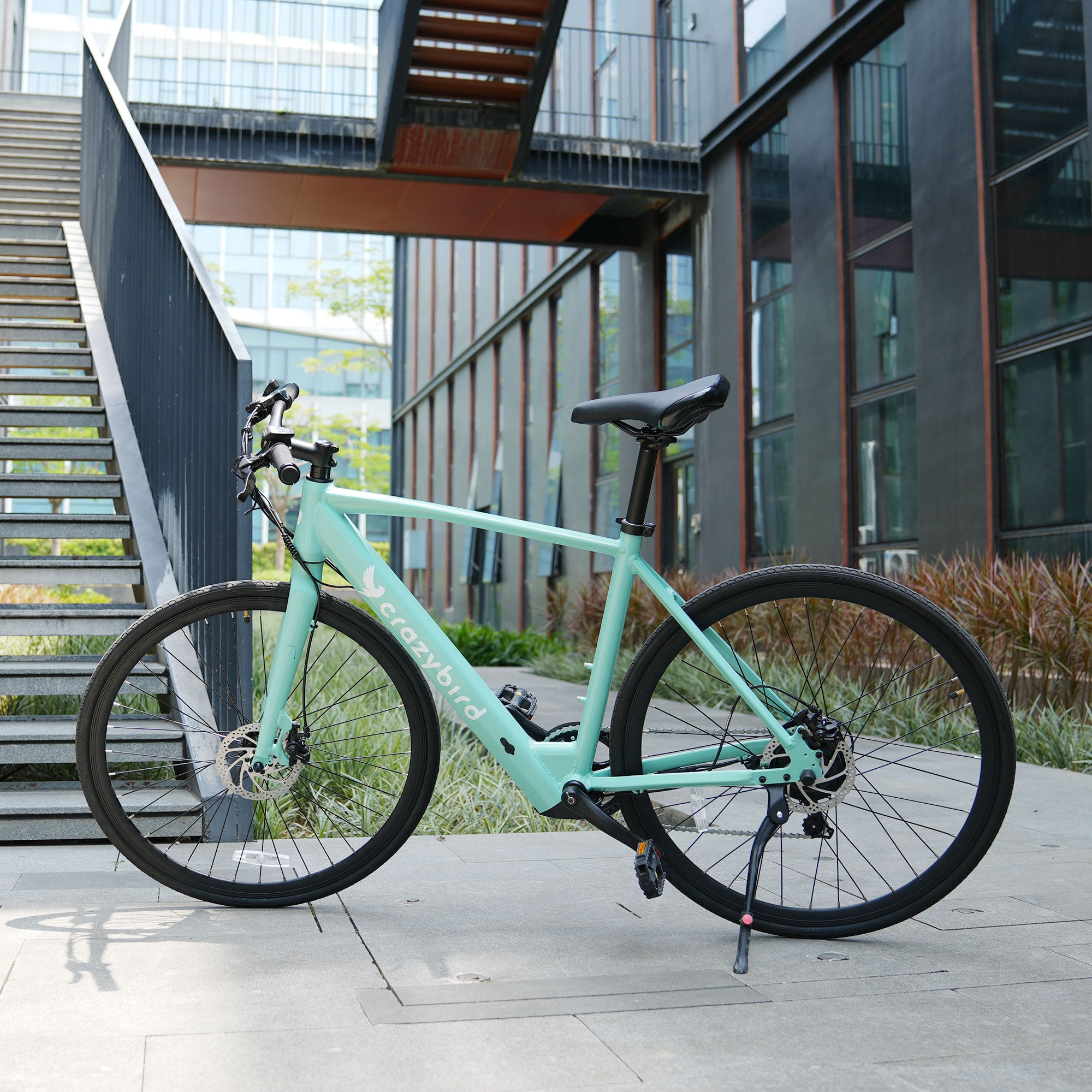 Découvrez la liberté des vélos électriques CrazyBird