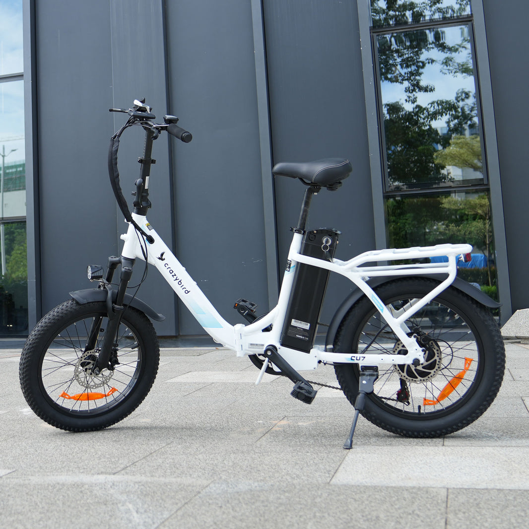 Découvrez la liberté des vélos électriques CrazyBird